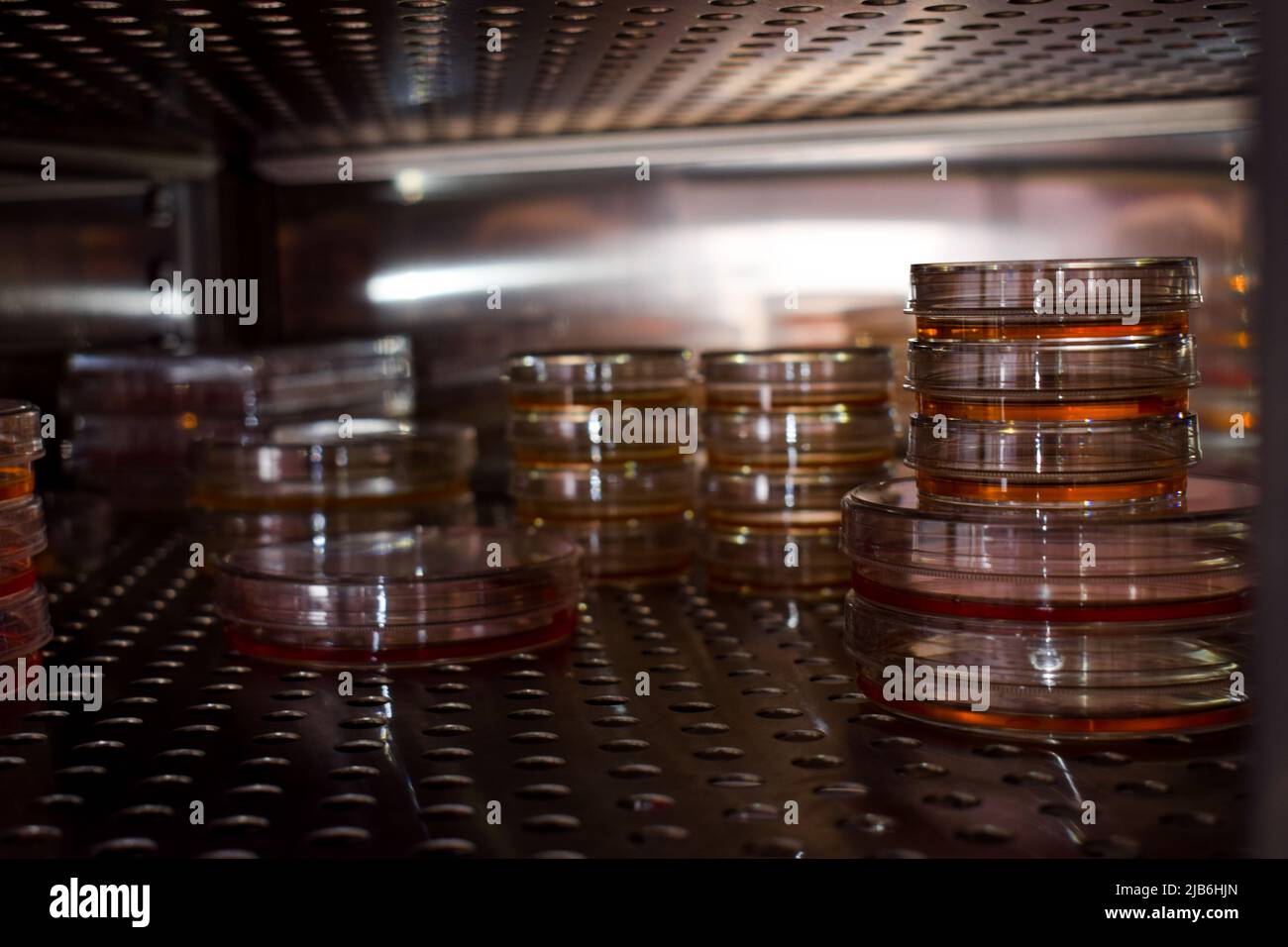 Incubator for culture hi-res stock photography and images - Alamy