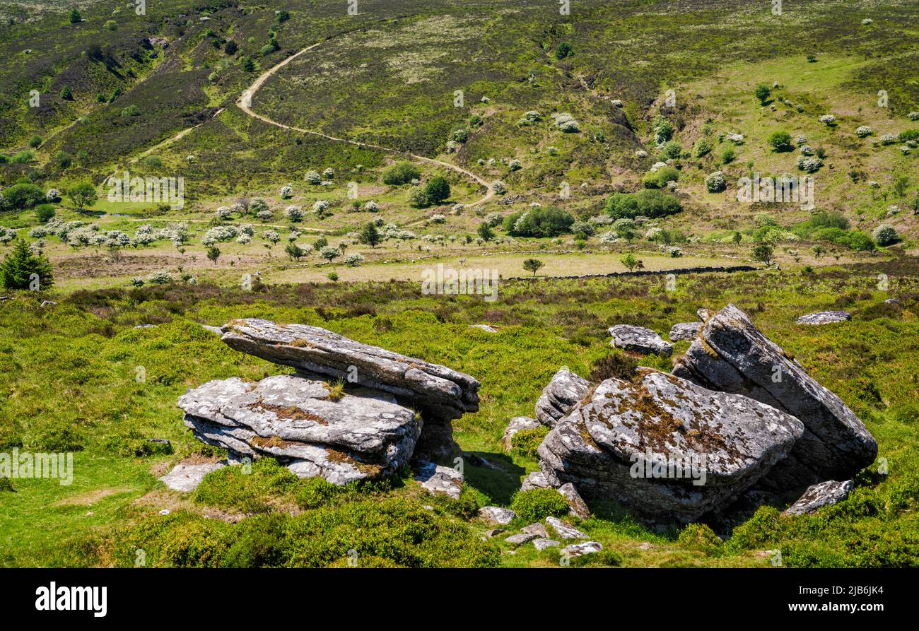Dartmoor landscape view from Birch Tor, Dartmoor National Park, Devon ...