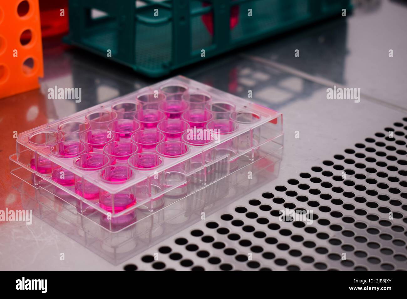 Cell culture plates inside of a cell tissue hepa filtered cabin Stock ...