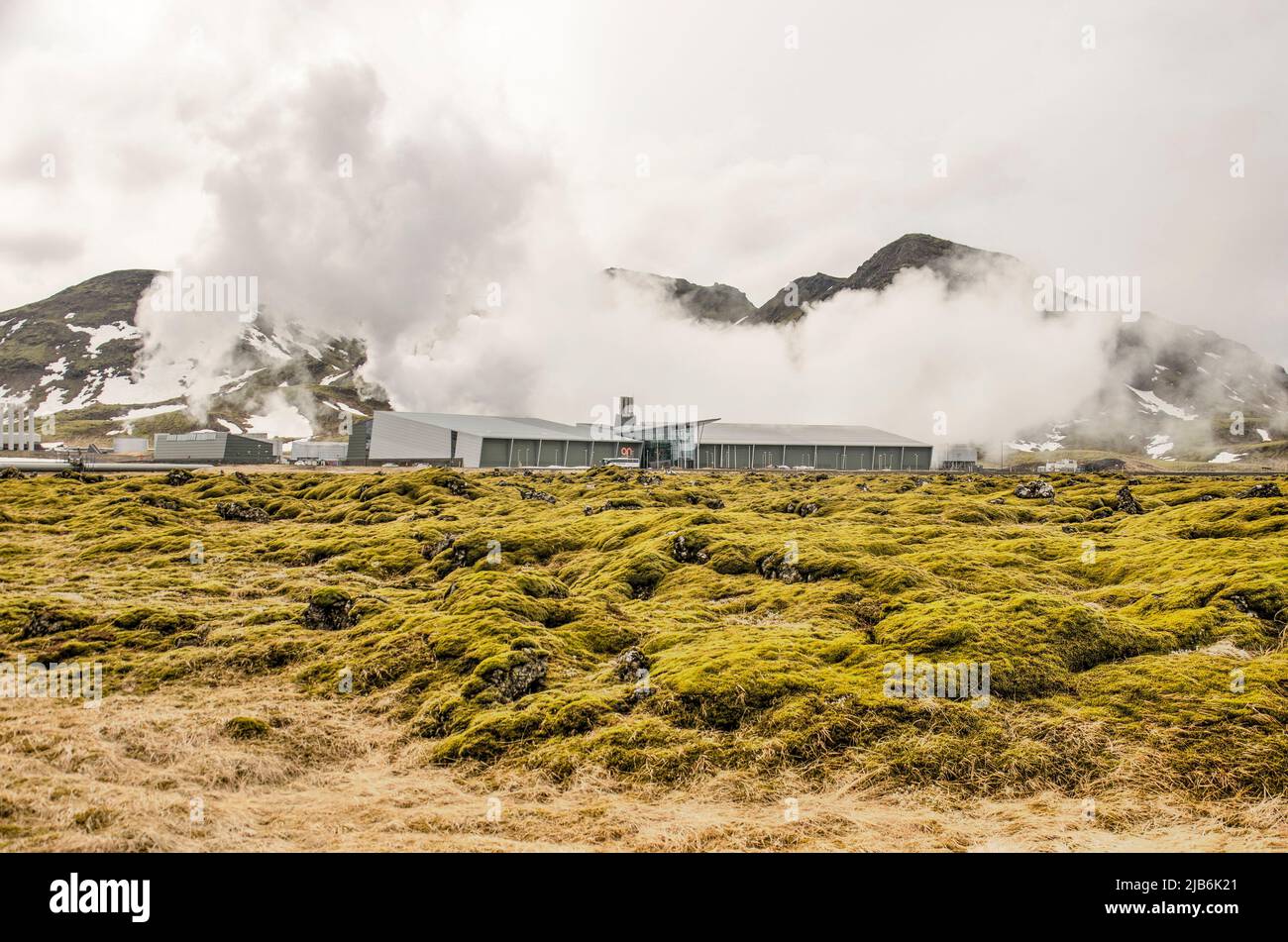 Hengill, Iceland, April 22, 2022: view across a field of moss towards ...