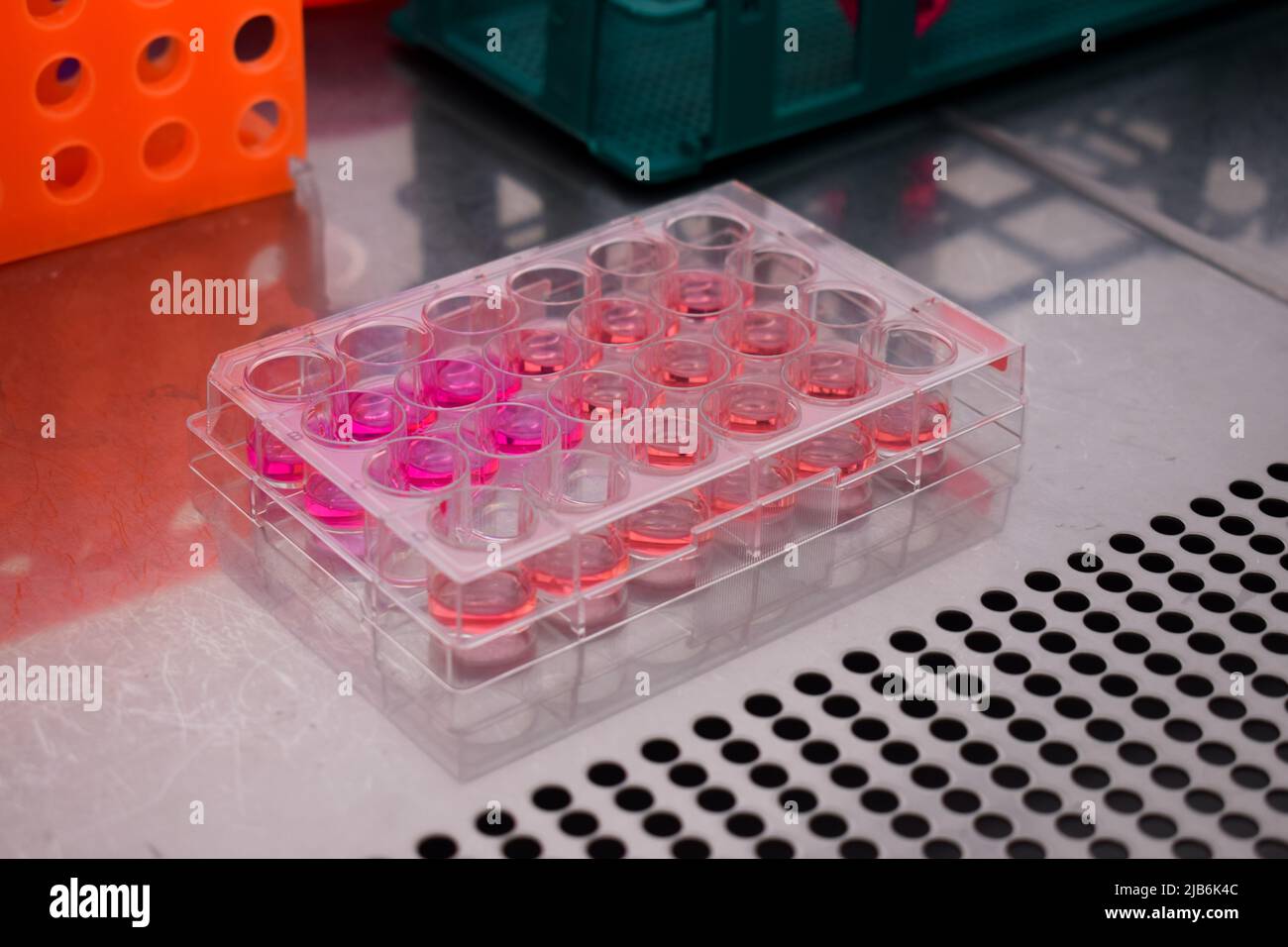 Cell culture plates inside of a cell tissue hepa filtered cabin Stock ...