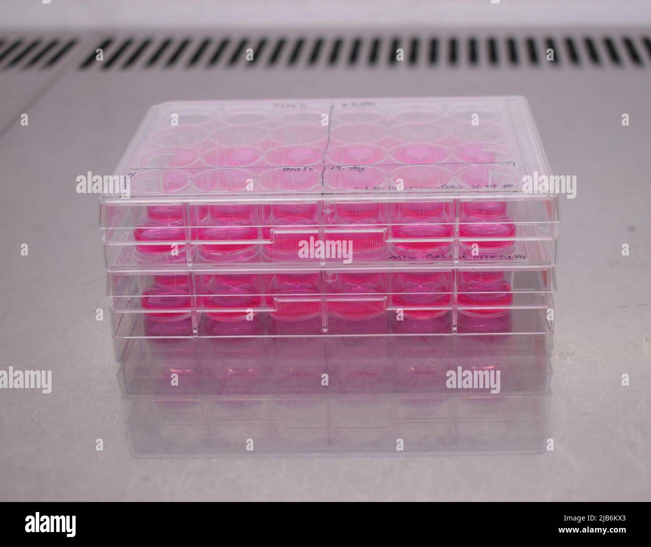 Cell culture plates inside of a cell tissue hepa filtered cabin Stock ...