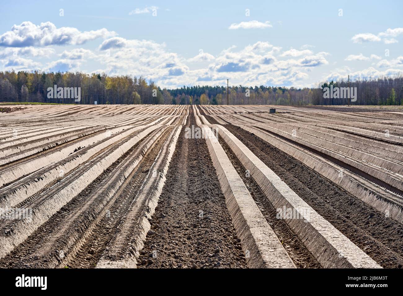 Furrows row pattern in a plowed field prepared for planting crops in ...