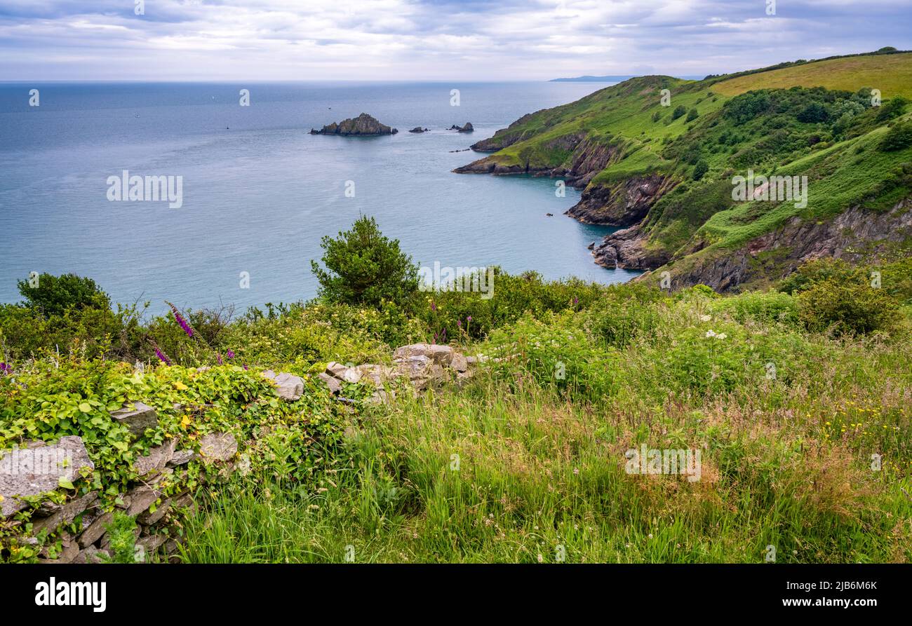 Coastal view looking southwest from the grounds of Coleton Fishacre ...