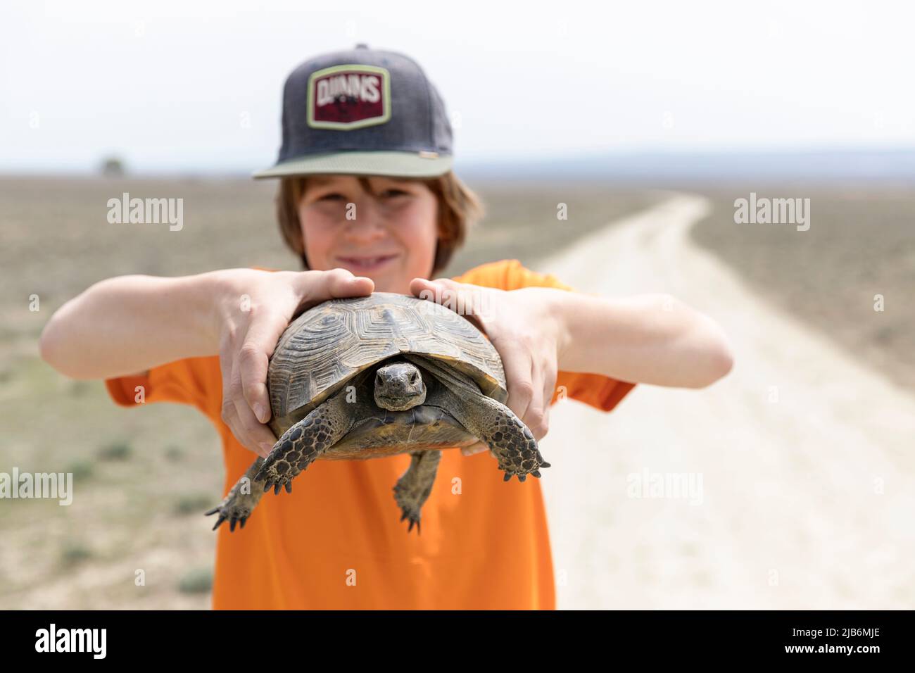Happy boy holding Greek tortoise (Testudo graeca) on a dirt road in ...