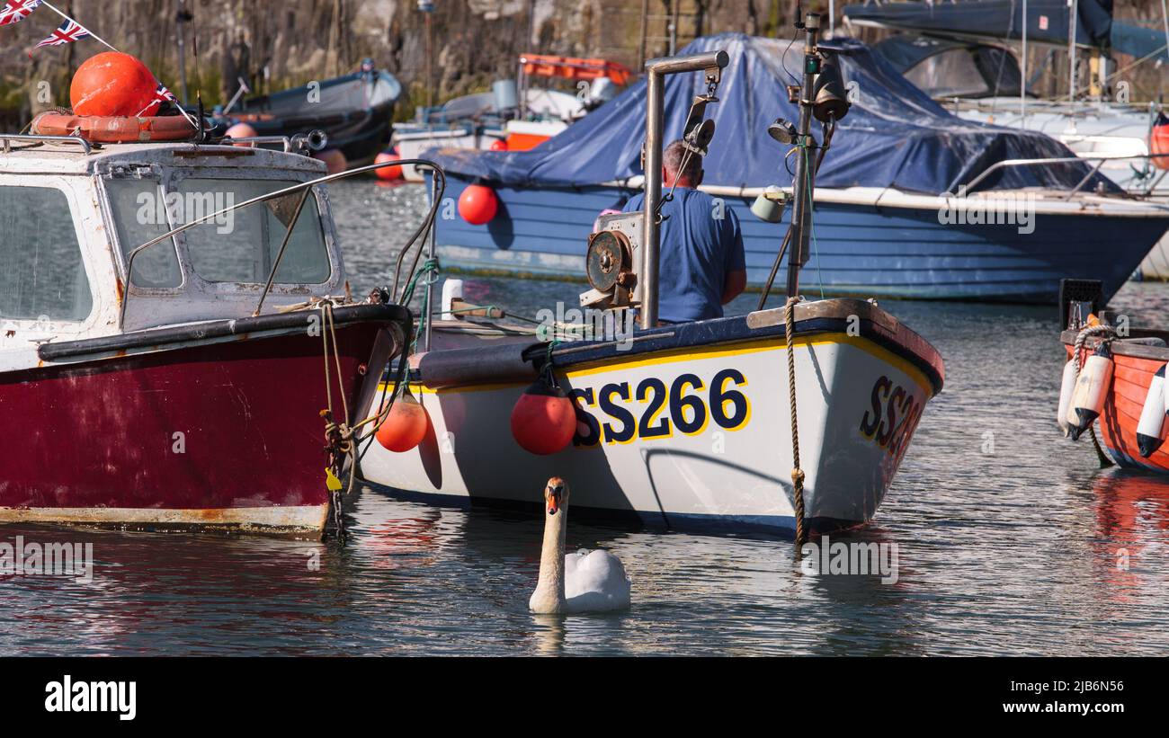 Boat life in a Cornish fishing harbour Stock Photo - Alamy