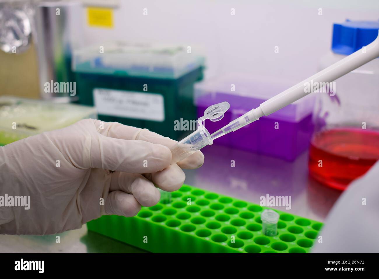 Scientific works with a micropipette and tube filled with cell Stock ...