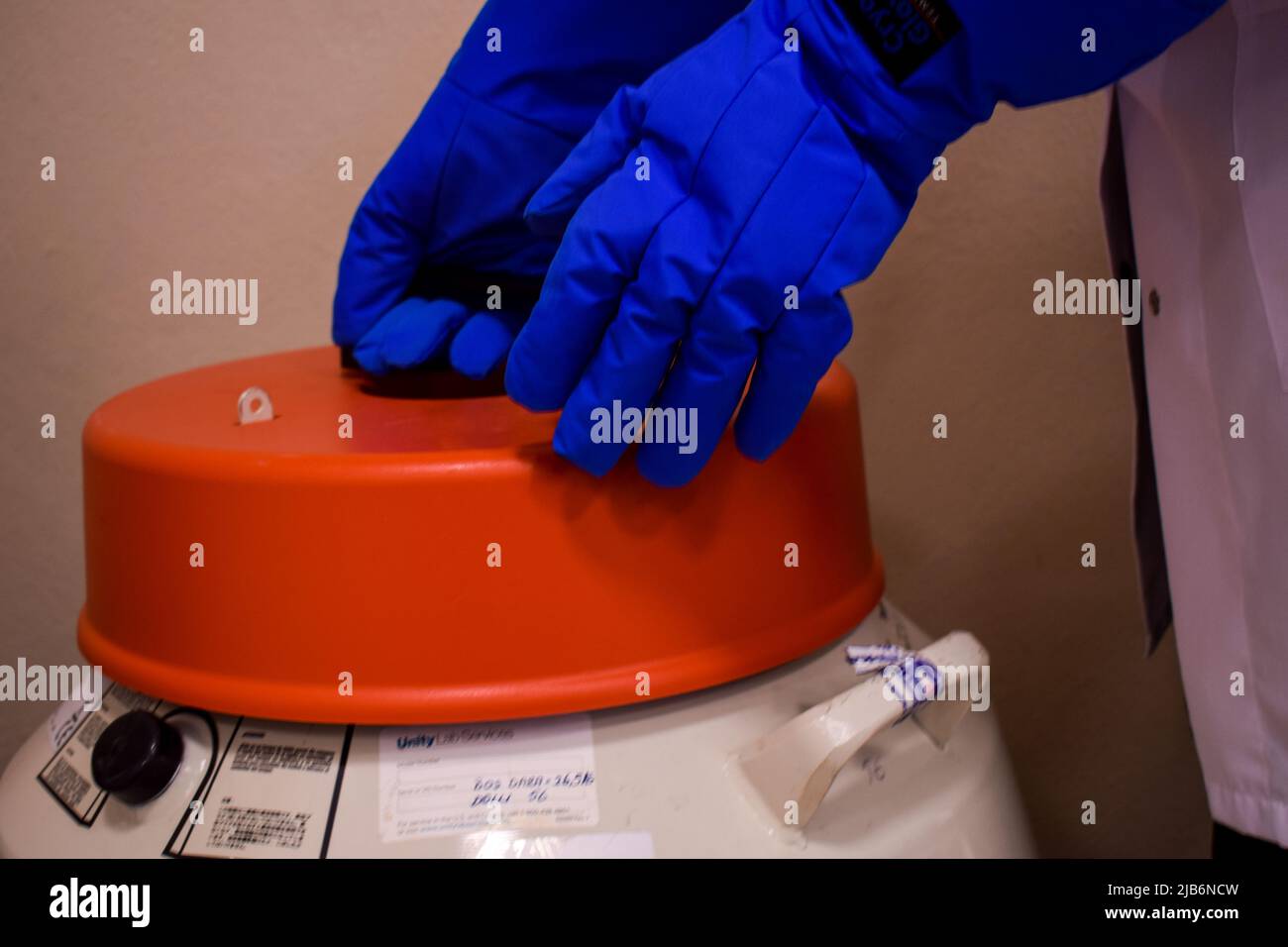 Scientist holds a nitrogen tank with blue gloves Stock Photo - Alamy
