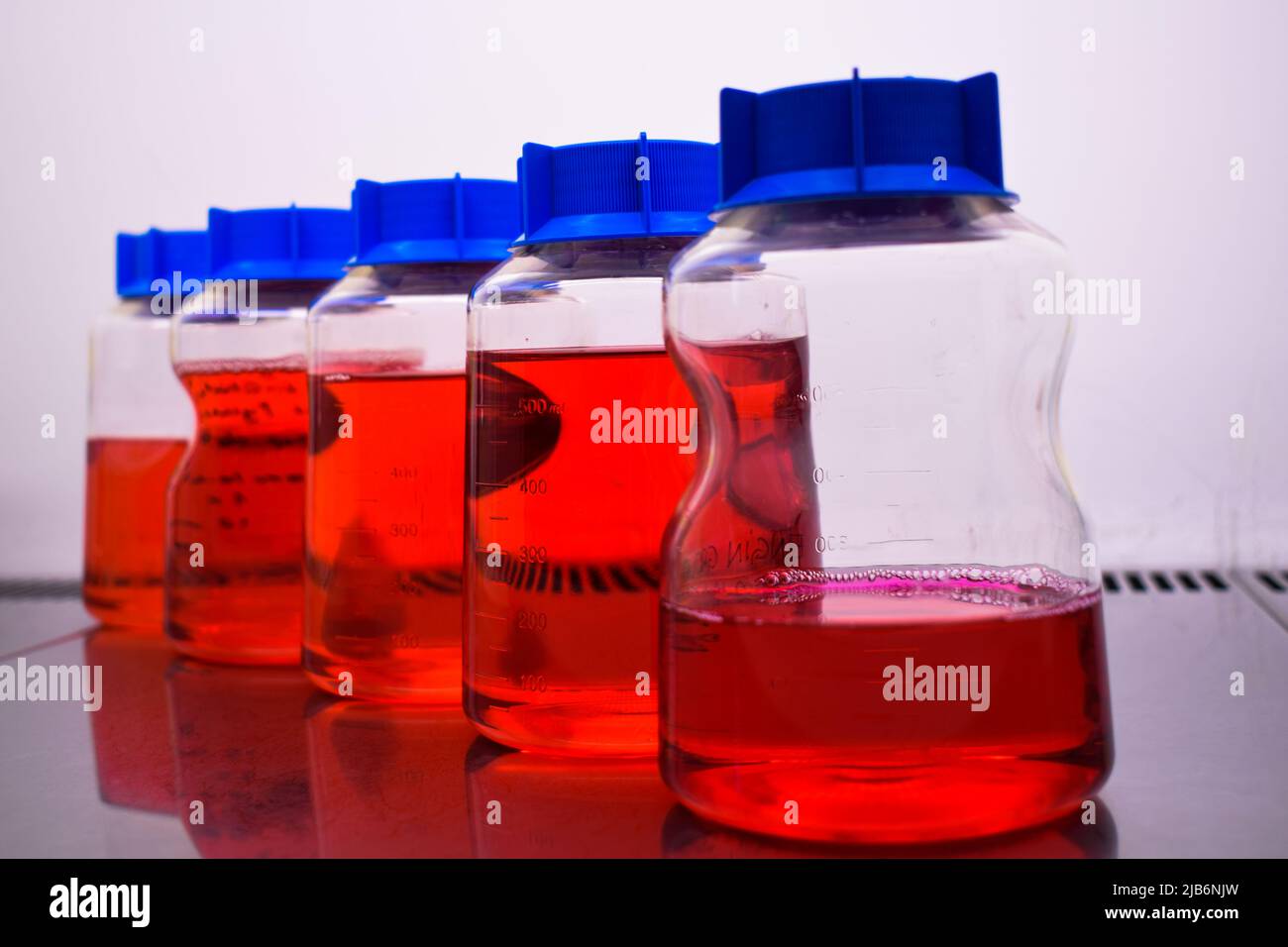 Cell medium bottles in the hepa filtered cabin at cell tissue culture ...