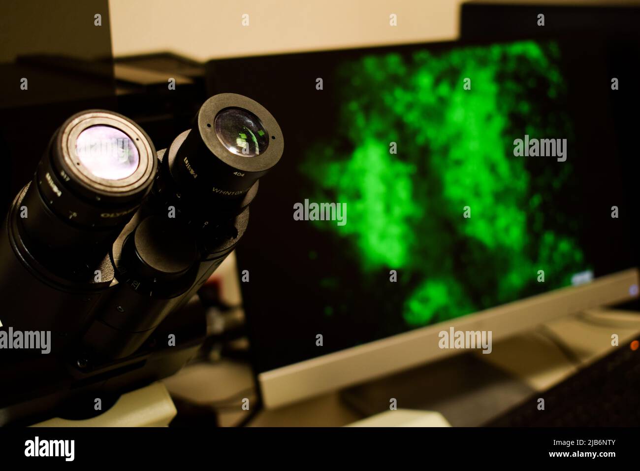 Microscope image of colorful cell in background at the lab Stock Photo ...