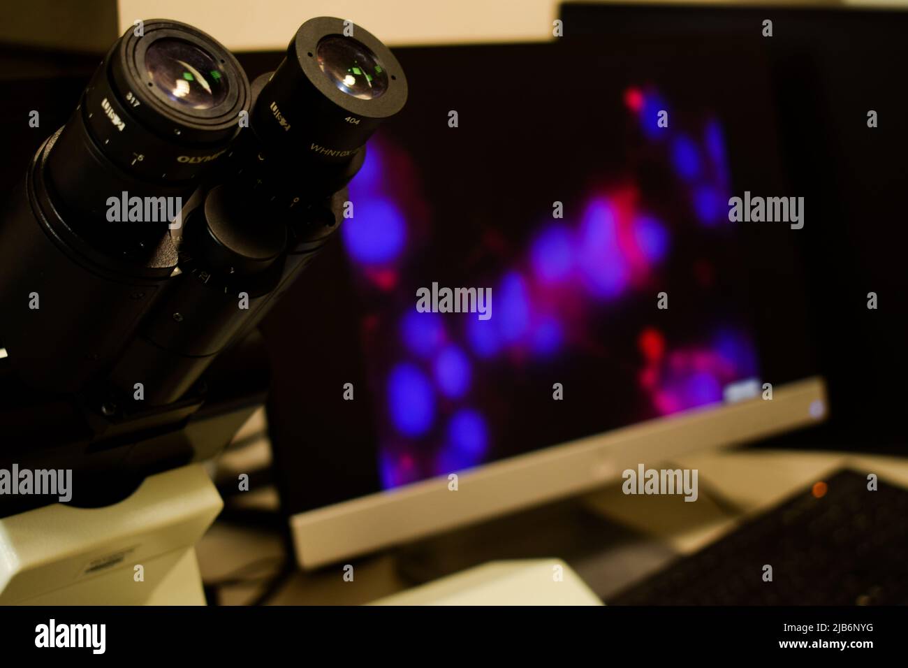 Light microscope new hi-res stock photography and images - Alamy