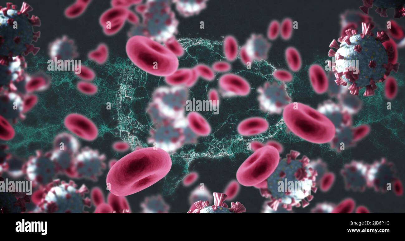 Image of covid 19 and red blood cells with human brain spinning Stock ...