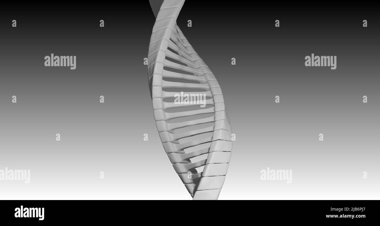 Image of macro of grey 3d dna strand spinning Stock Photo - Alamy