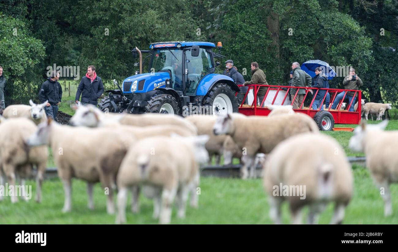 Tractor with a trailer taking visitors around a farm on a farm visit ...
