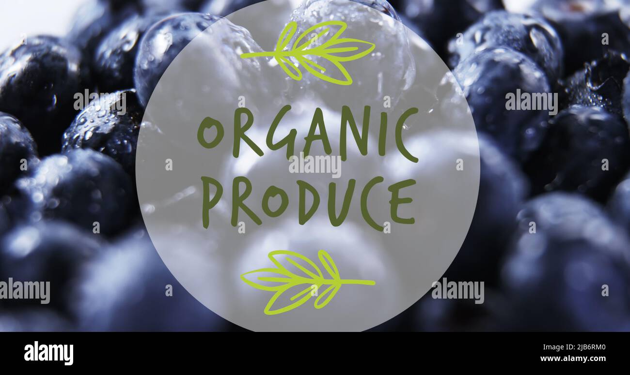 Image of organic produce text over wet blueberries Stock Photo - Alamy