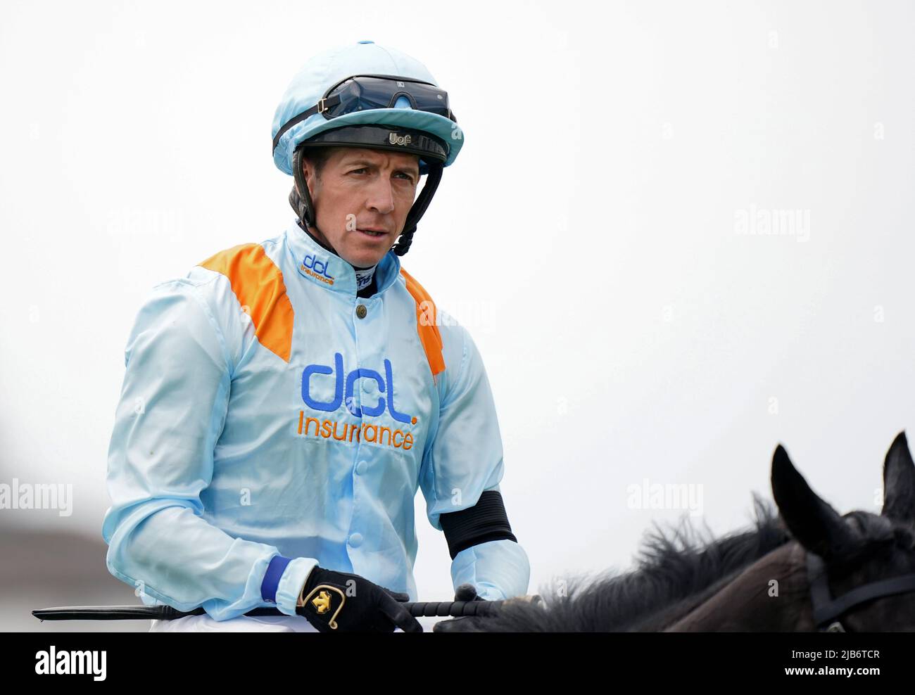 Revich horse hi-res stock photography and images - Alamy