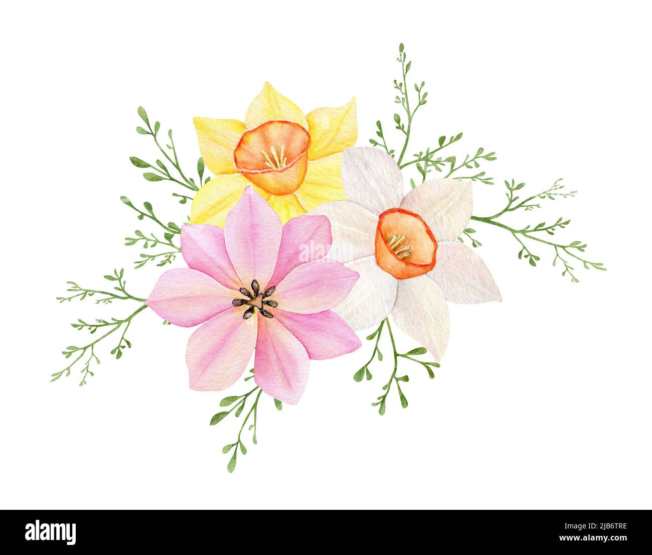 Floral bouquet. Watercolor pink tulip, yellow and white daffodles ...