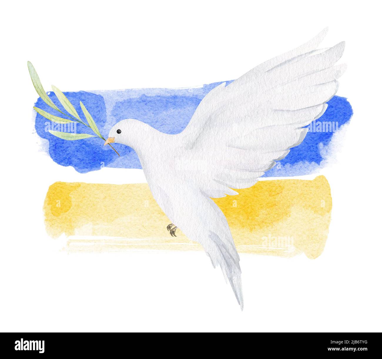 Watercolor peace dove with olive branch. Pray for Ukraine Stock Photo ...