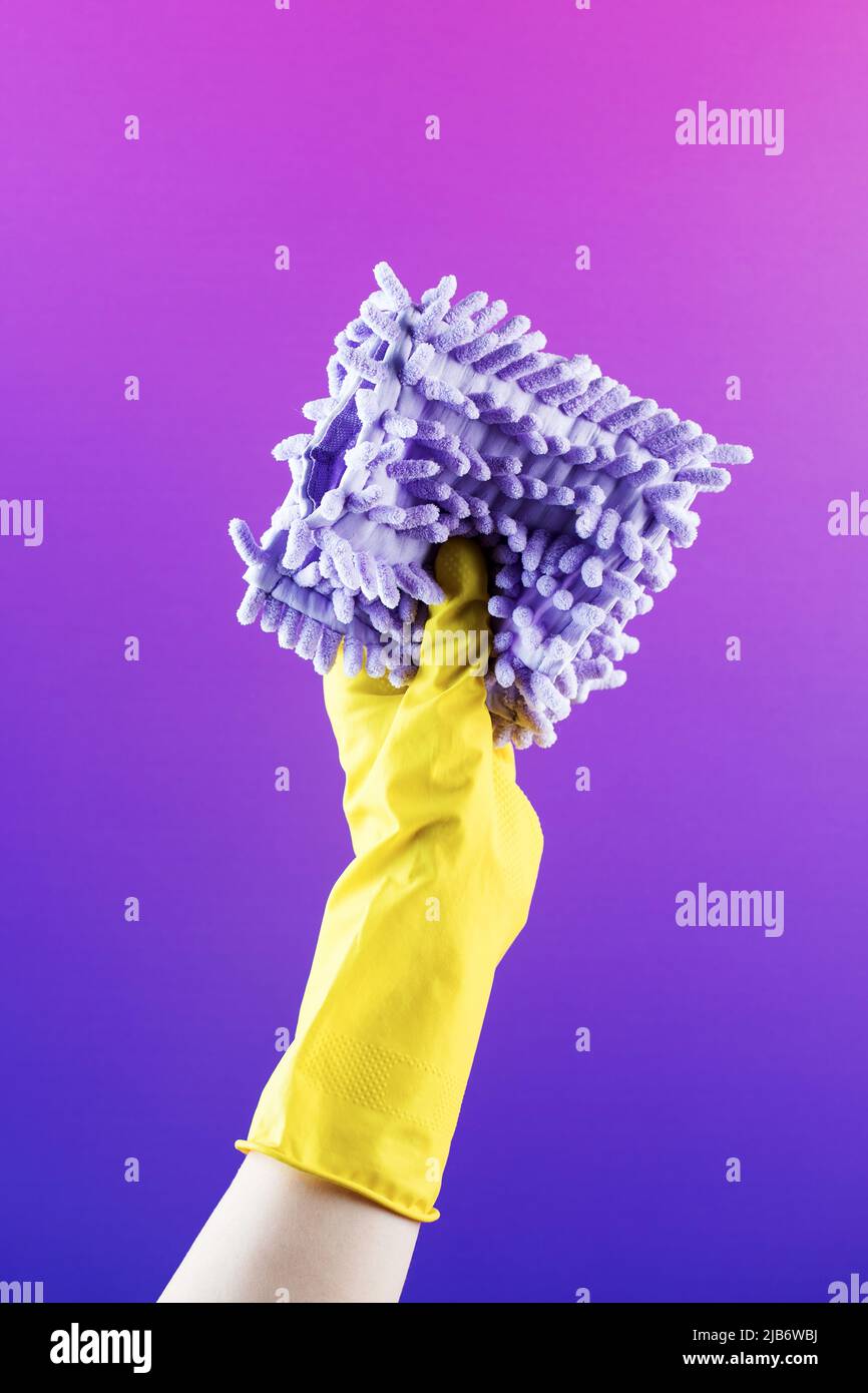 Hand in latex glove holds fluffy rag to wipe dust on purple background ...