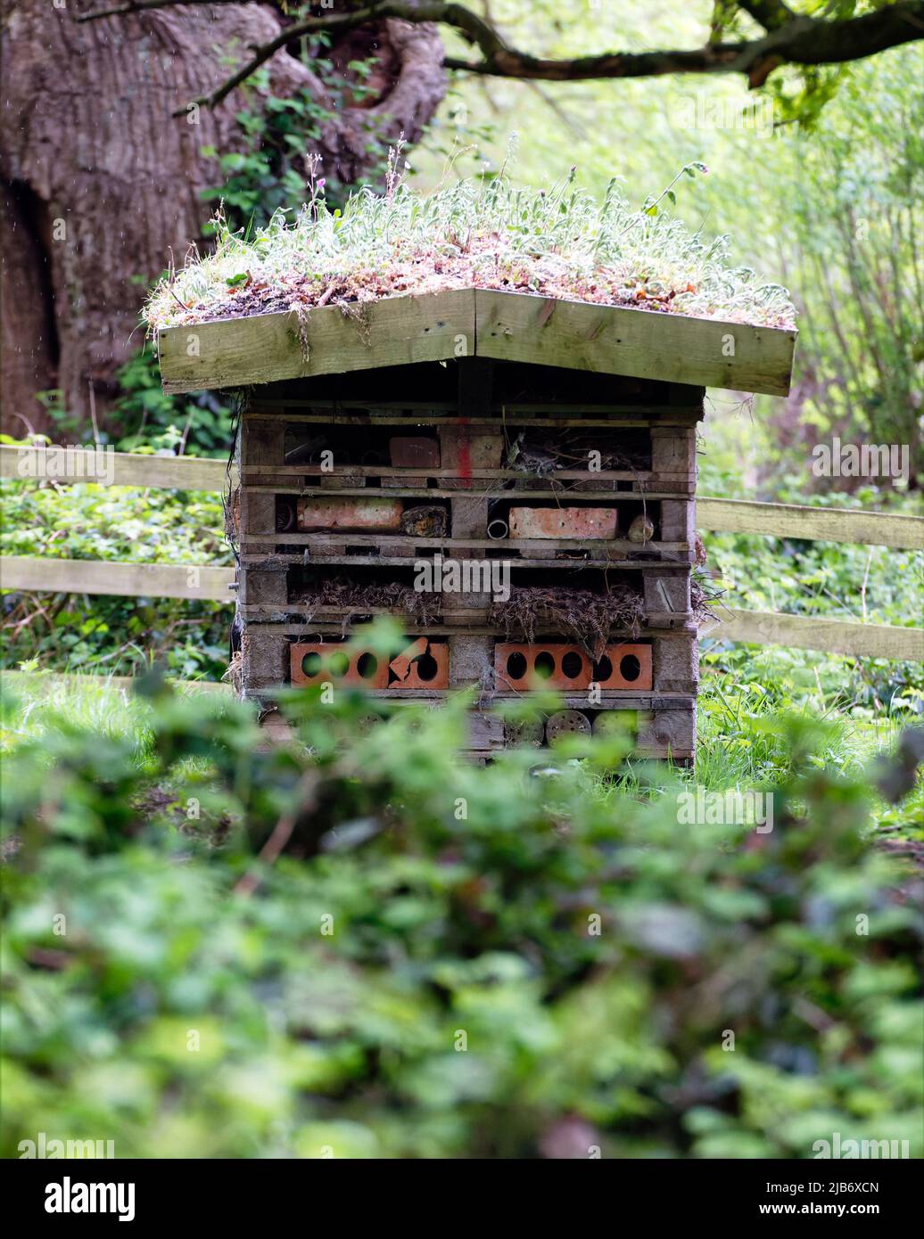 the roof of a bug hut / bug hotel Stock Photo - Alamy