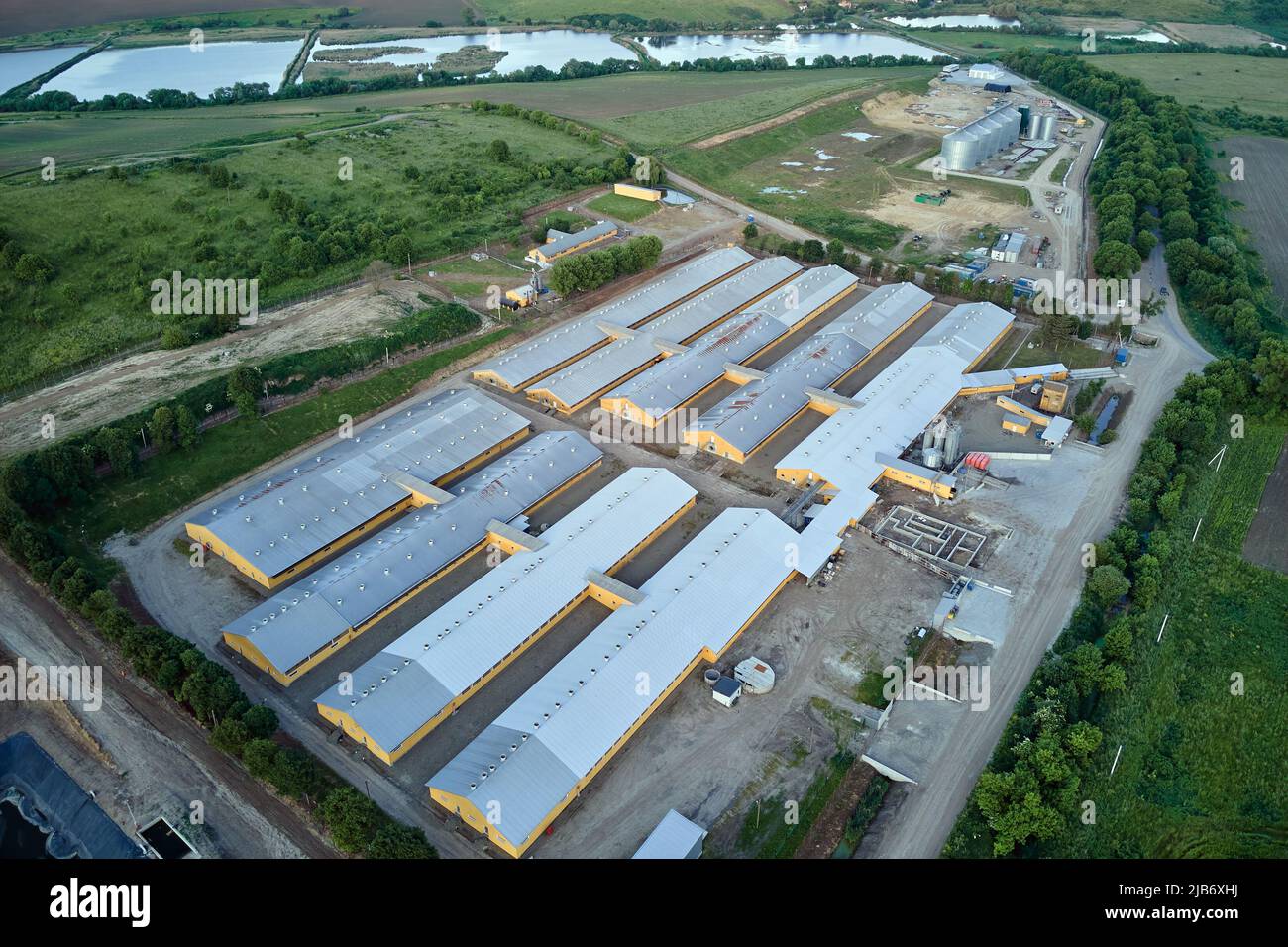 Aerial view of cattle farm buildings between green farmlands Stock ...