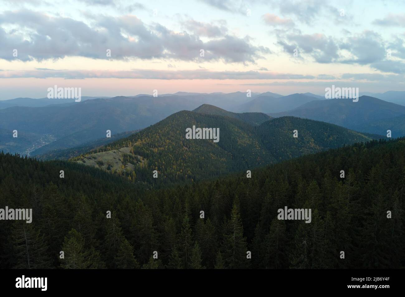 Aerial view of hillside with dark spruce forest trees at fall bright ...