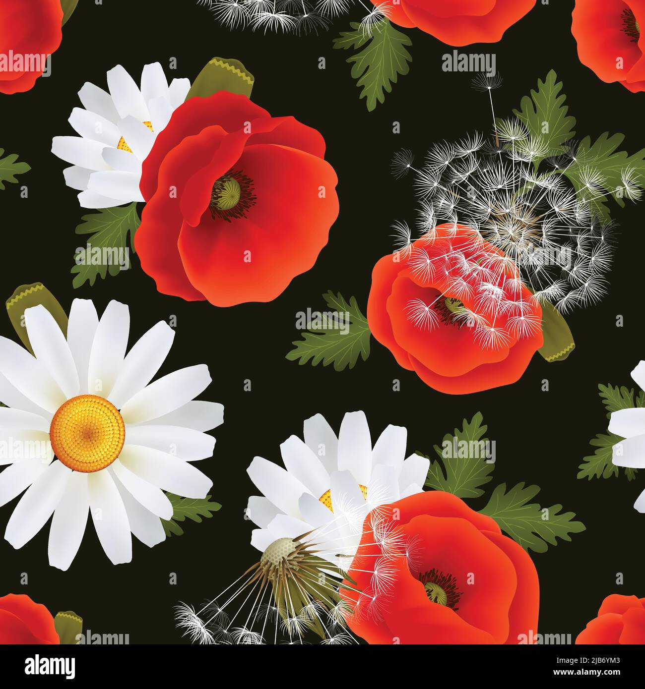 Poppy daisy field vibrant Stock Vector Images - Alamy