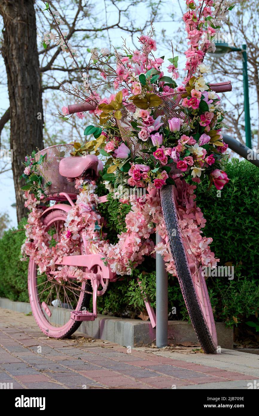 Pink floral decoration on pink bicycle hi-res stock photography and ...