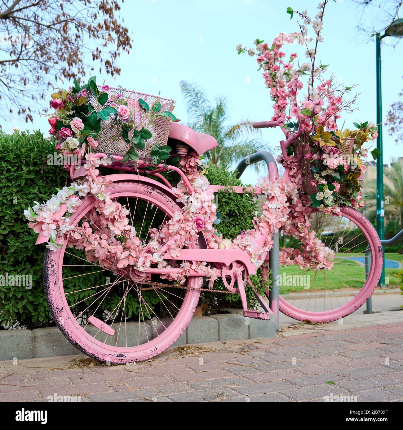 Pink floral decoration on pink bicycle hi-res stock photography and ...