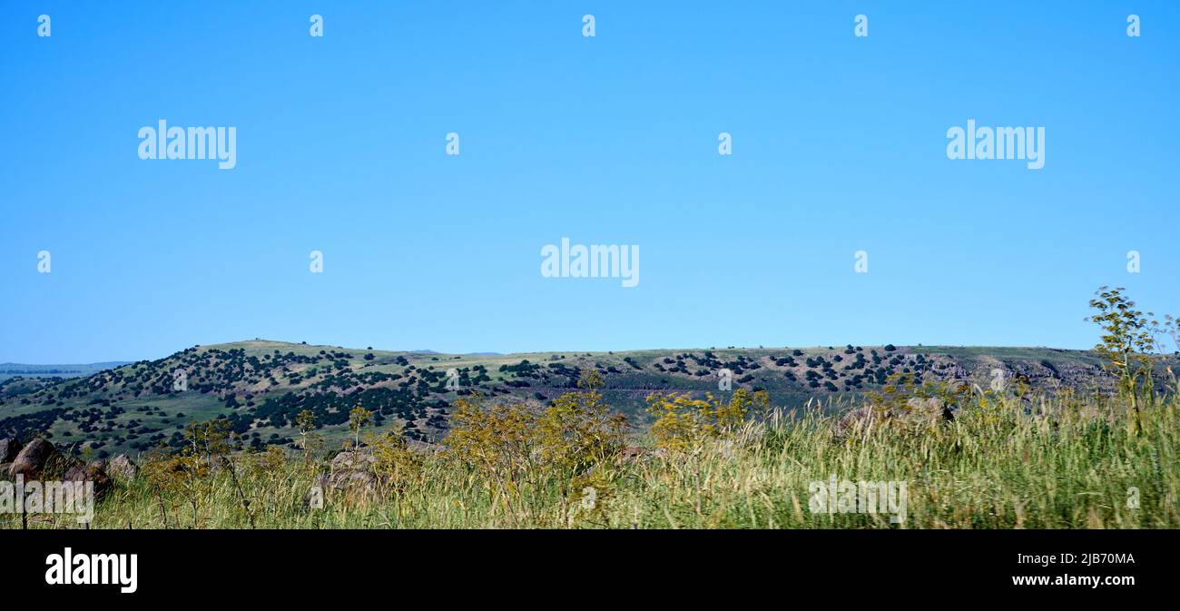 Panorama landscape of a green plain with hills and mountains in the ...