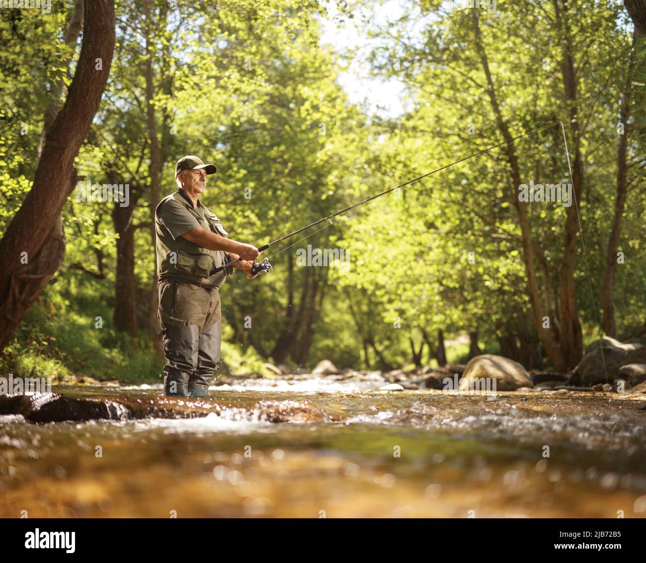 River stone carp hi-res stock photography and images - Alamy