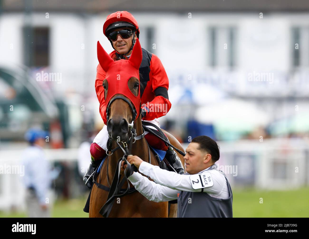 Emily upjohn horse hi-res stock photography and images - Alamy