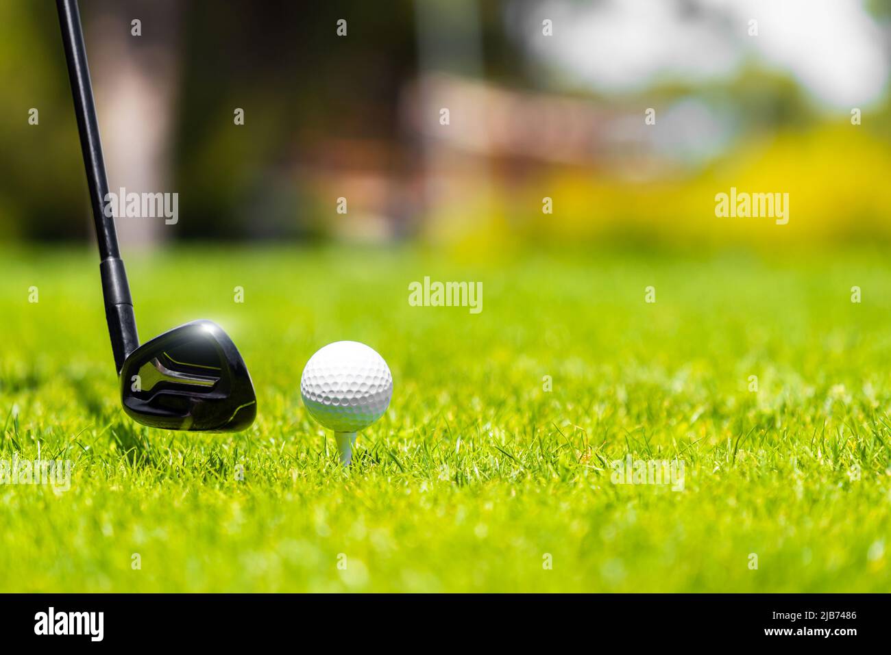 Golf iron club ready to hit a ball on green grass on golf course Stock ...