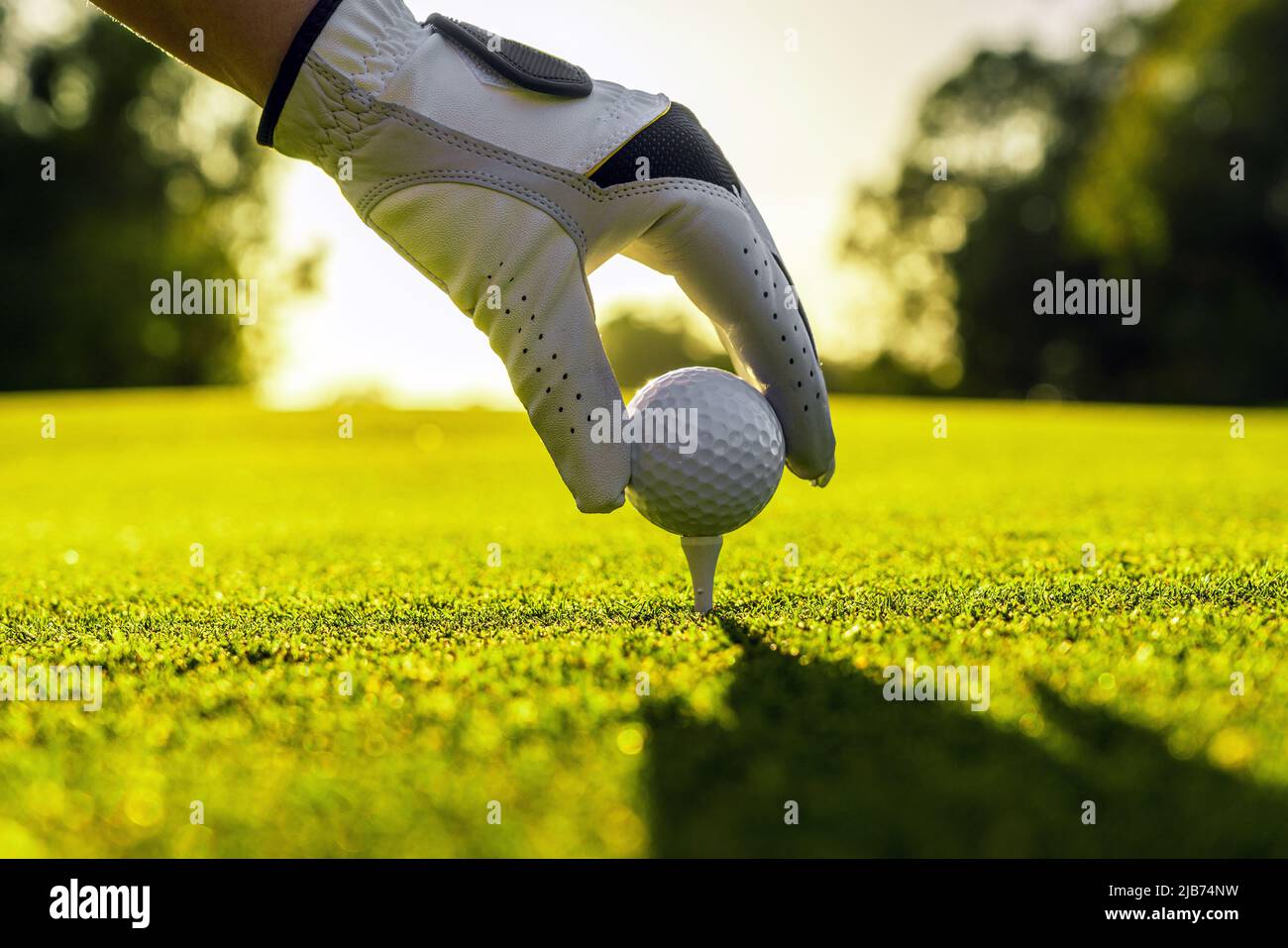 Hand of golfer wearing glove placing golf ball on a tee at golf course ...