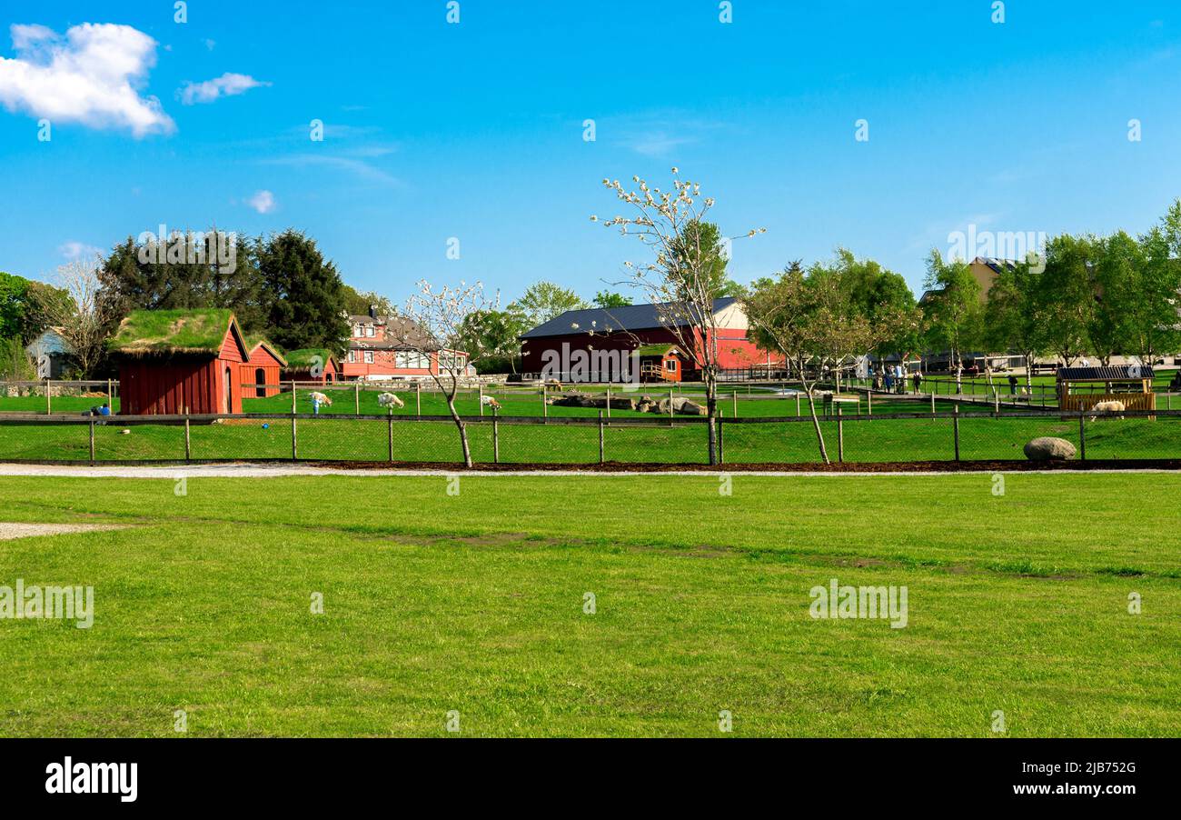 Farm animals for children to interact and play at Soma farm, Sandnes ...