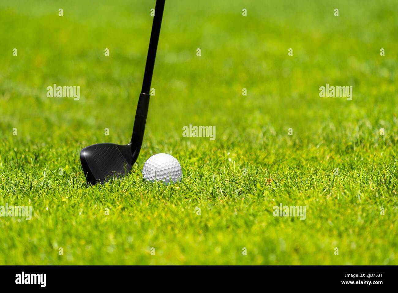 Golf iron club ready to hit a ball on green grass on golf course Stock ...