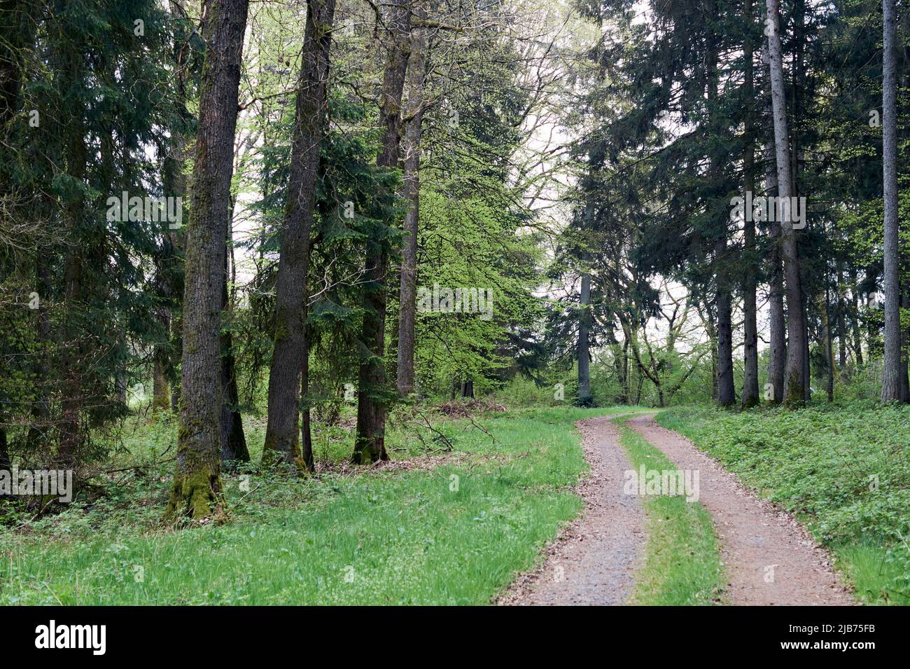 Pathway rays light tunnel hi-res stock photography and images - Alamy