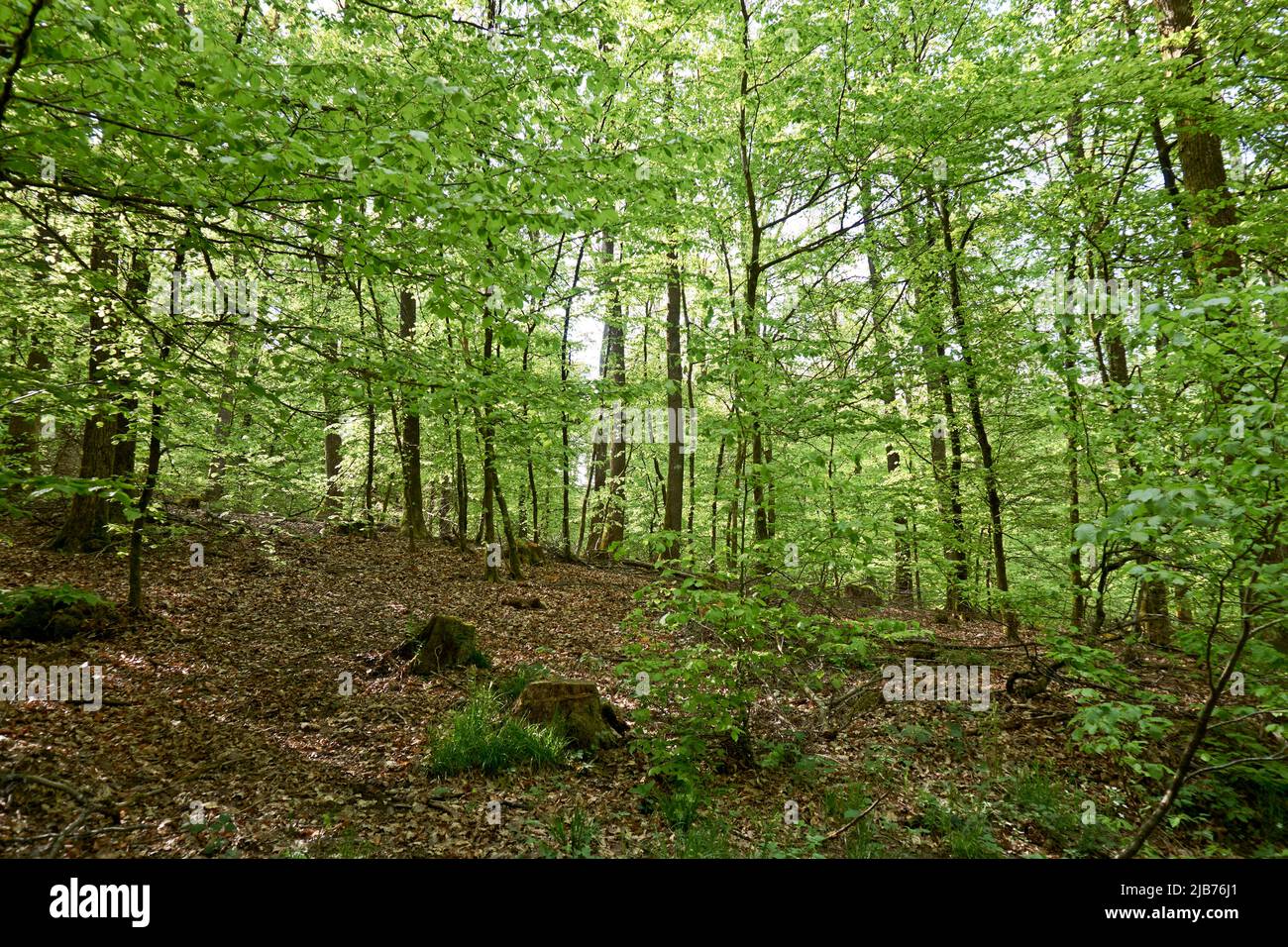 Pathway rays light tunnel hi-res stock photography and images - Alamy