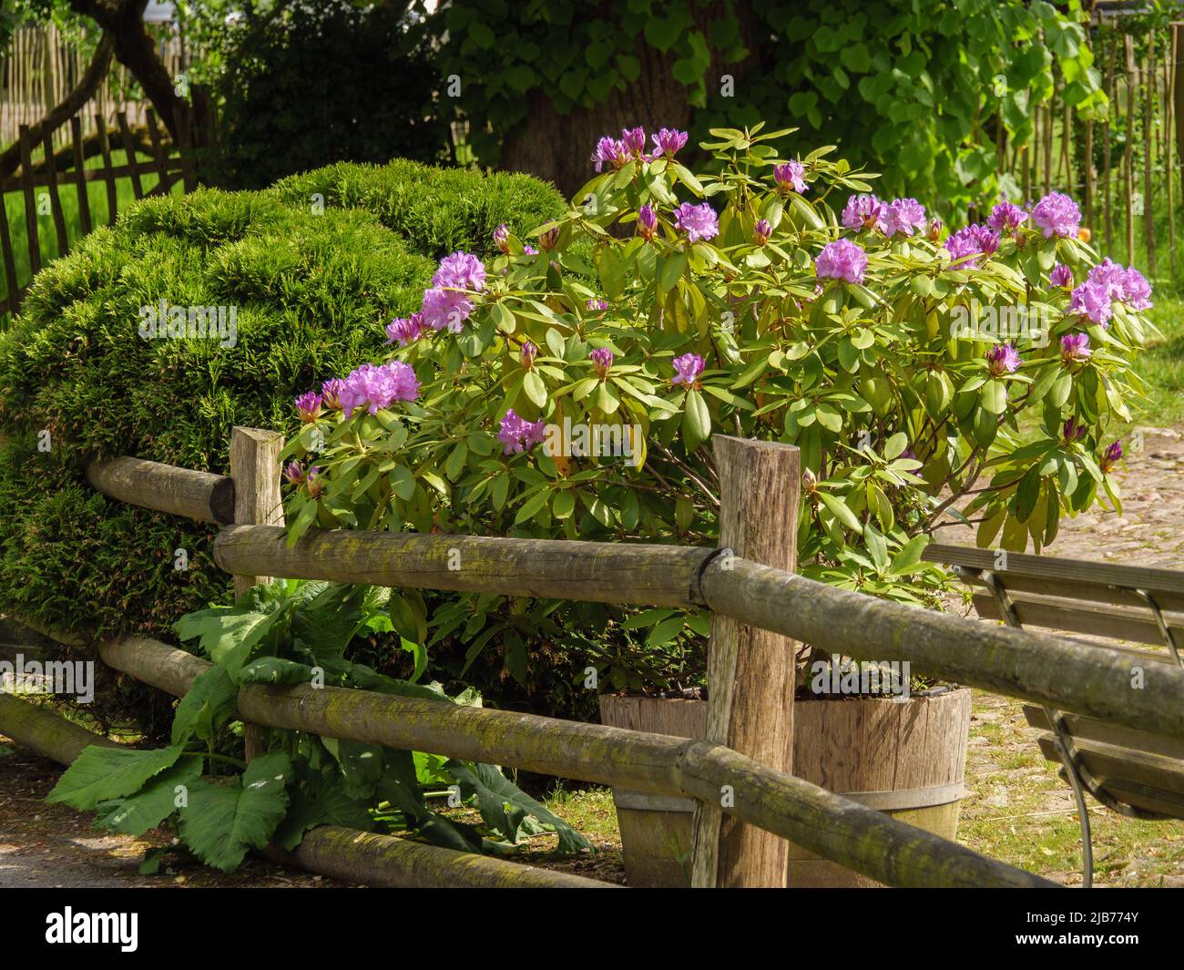 the small city of Arnis in germany Stock Photo - Alamy