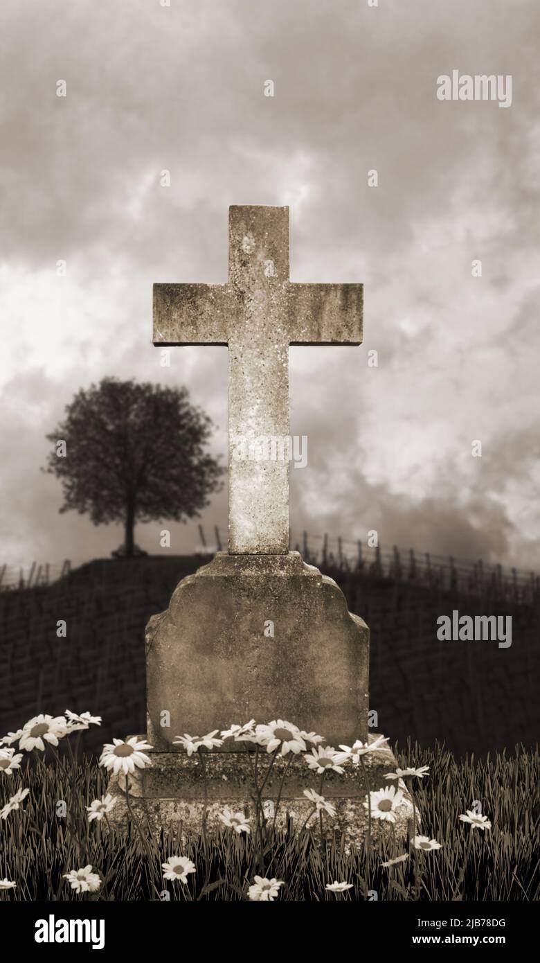 old tombstone in a country field 3d illustration Stock Photo - Alamy
