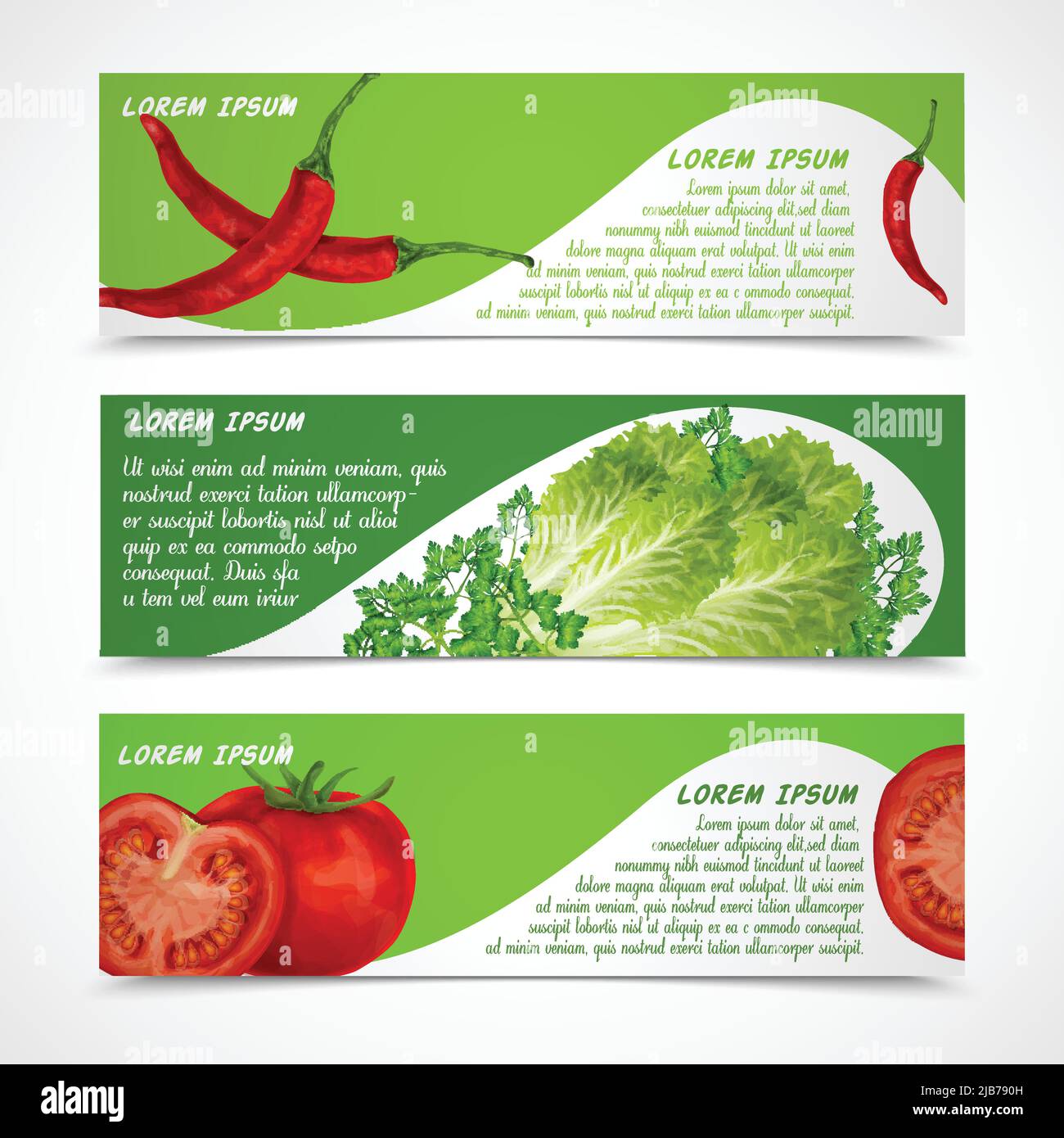Vegetable organic food banners horizontal with chili pepper salad ...