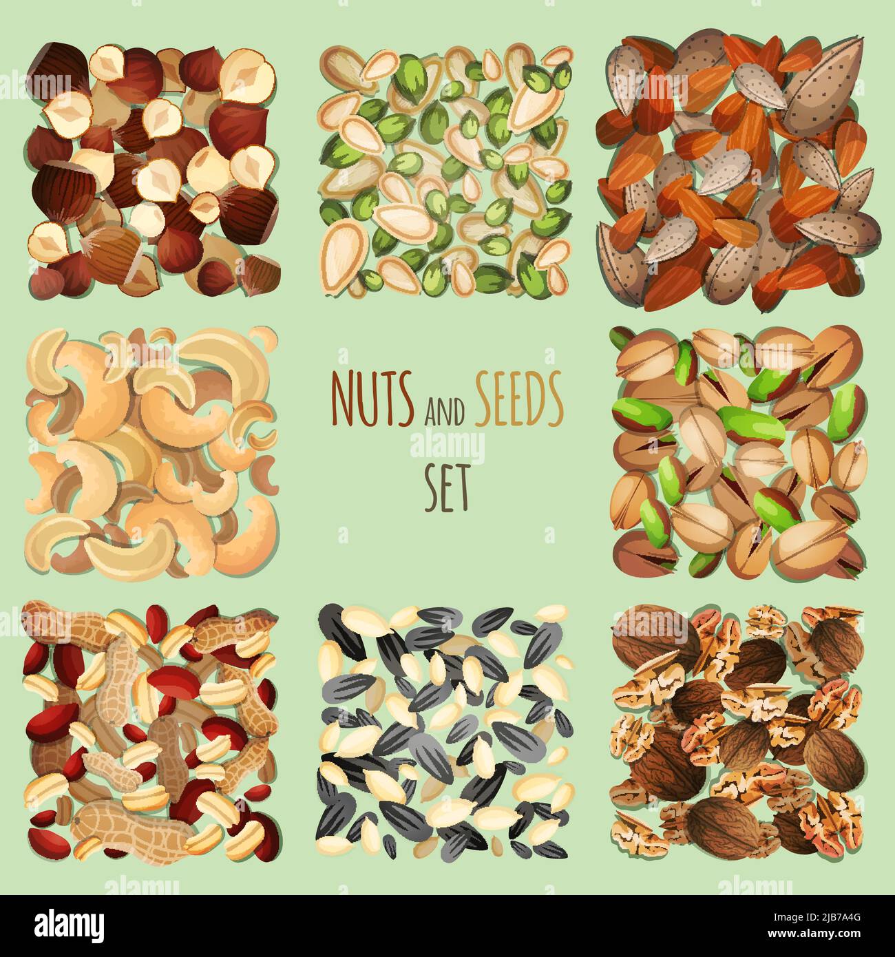 Nuts and seeds mix decorative elements set vector illustration Stock ...