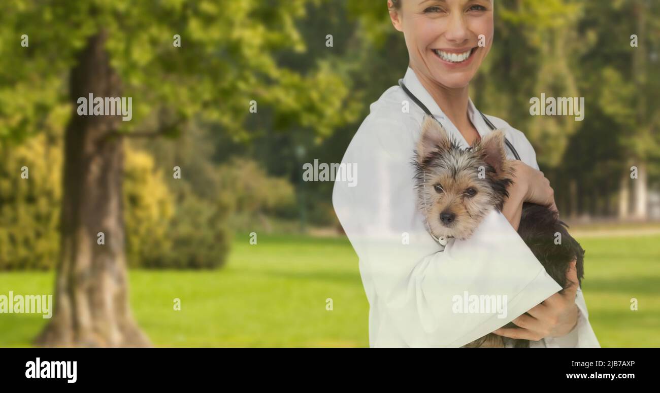 Female terrier hi-res stock photography and images - Alamy