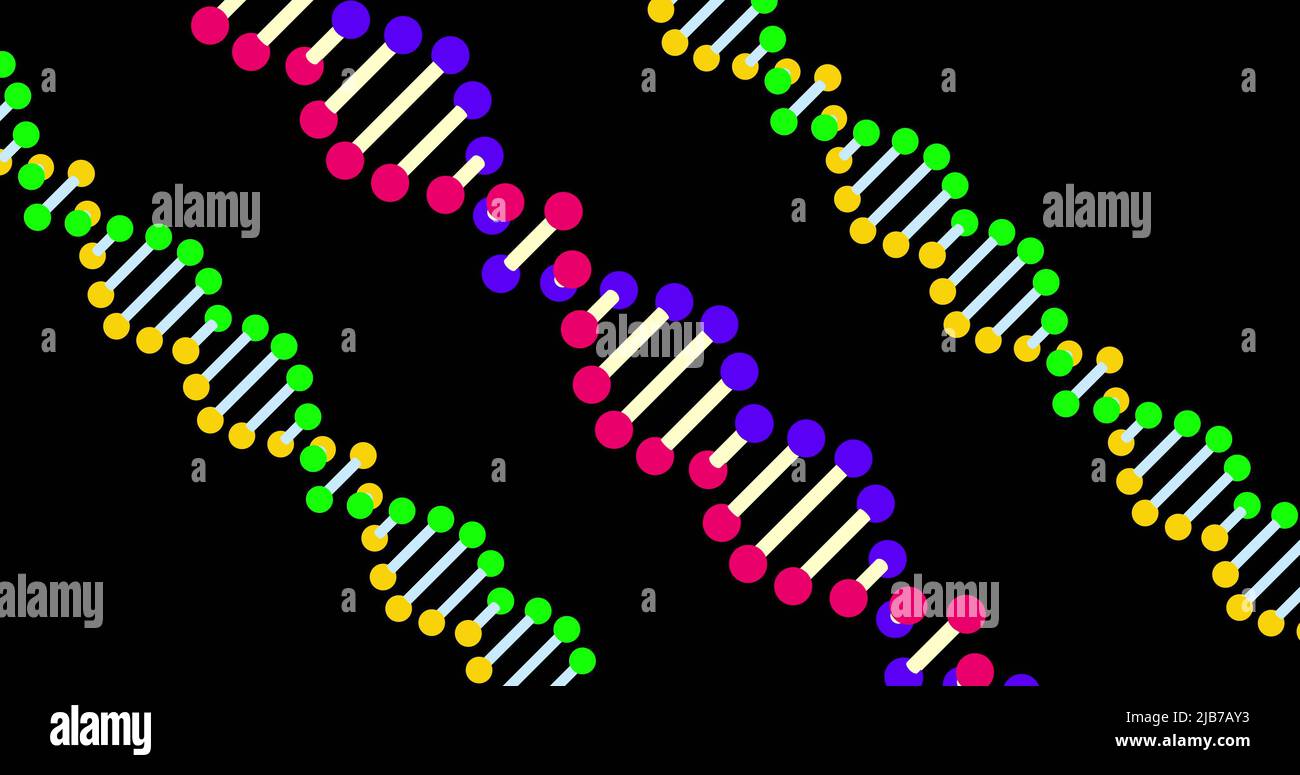 Image of colorful dna rotating on black background Stock Photo - Alamy