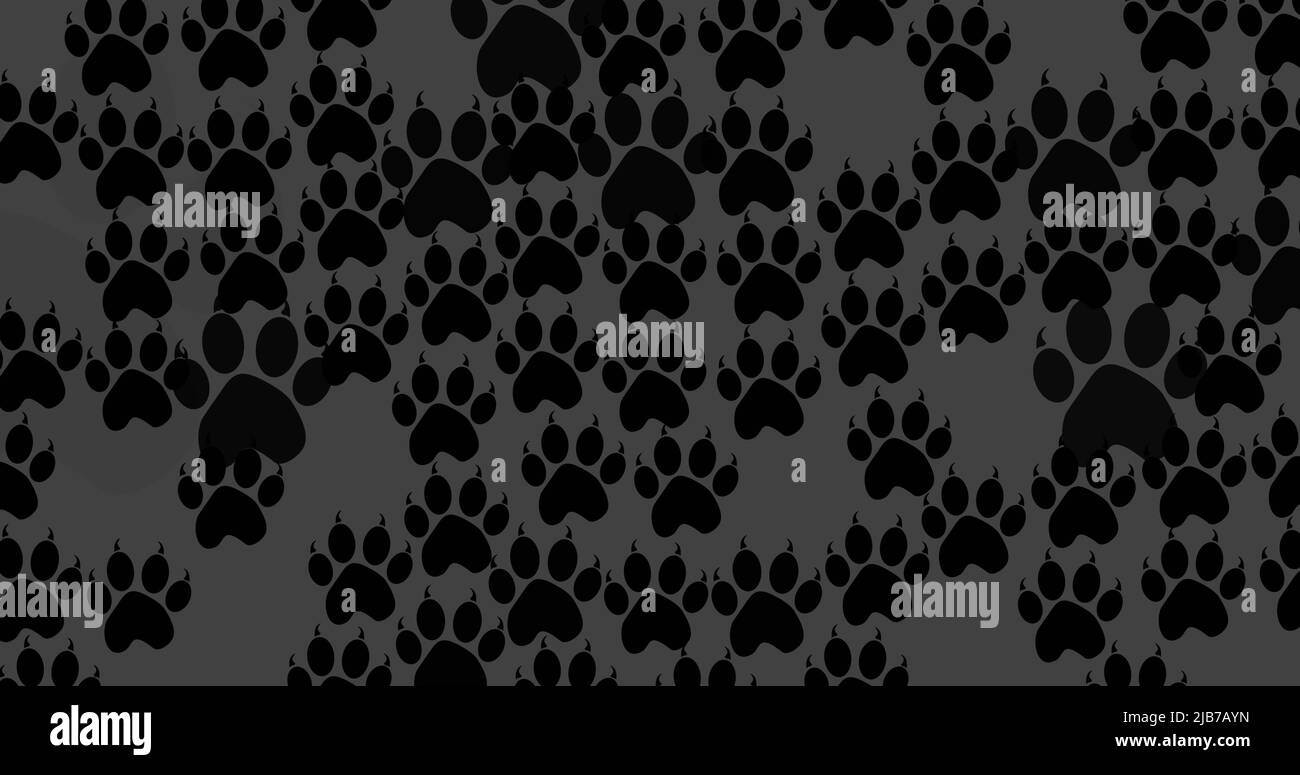 Image of black dog paw prints filling dark grey background Stock Photo ...