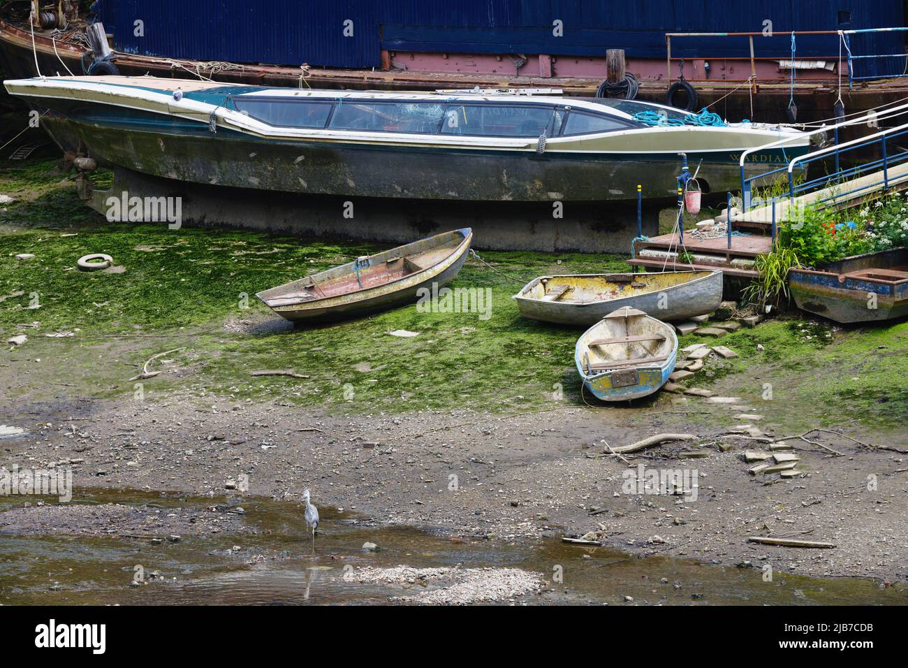 Rowing boats on the River Thames riverbed at low tide, Isleworth Ait ...
