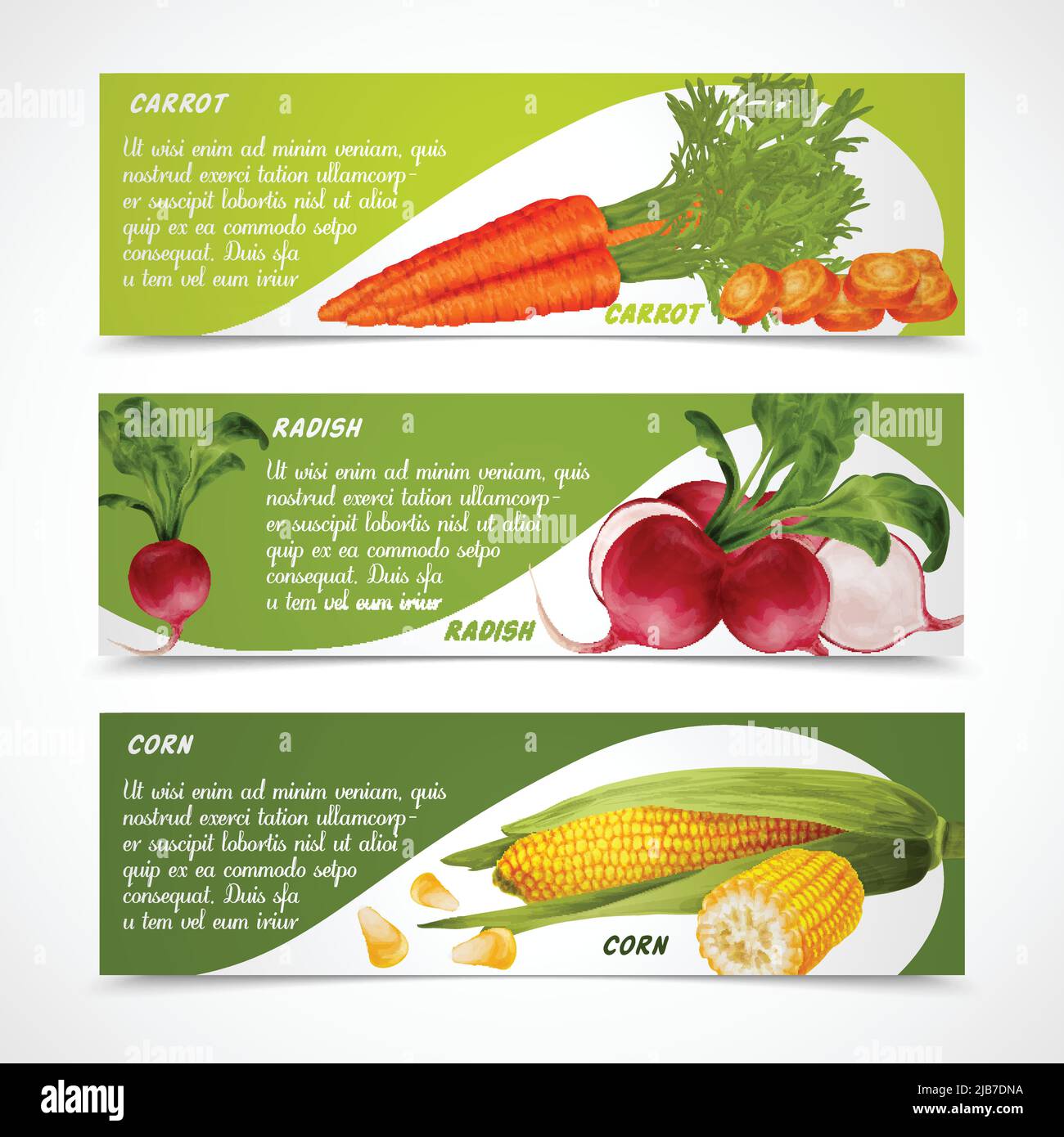 Row vegetables Stock Vector Images - Alamy