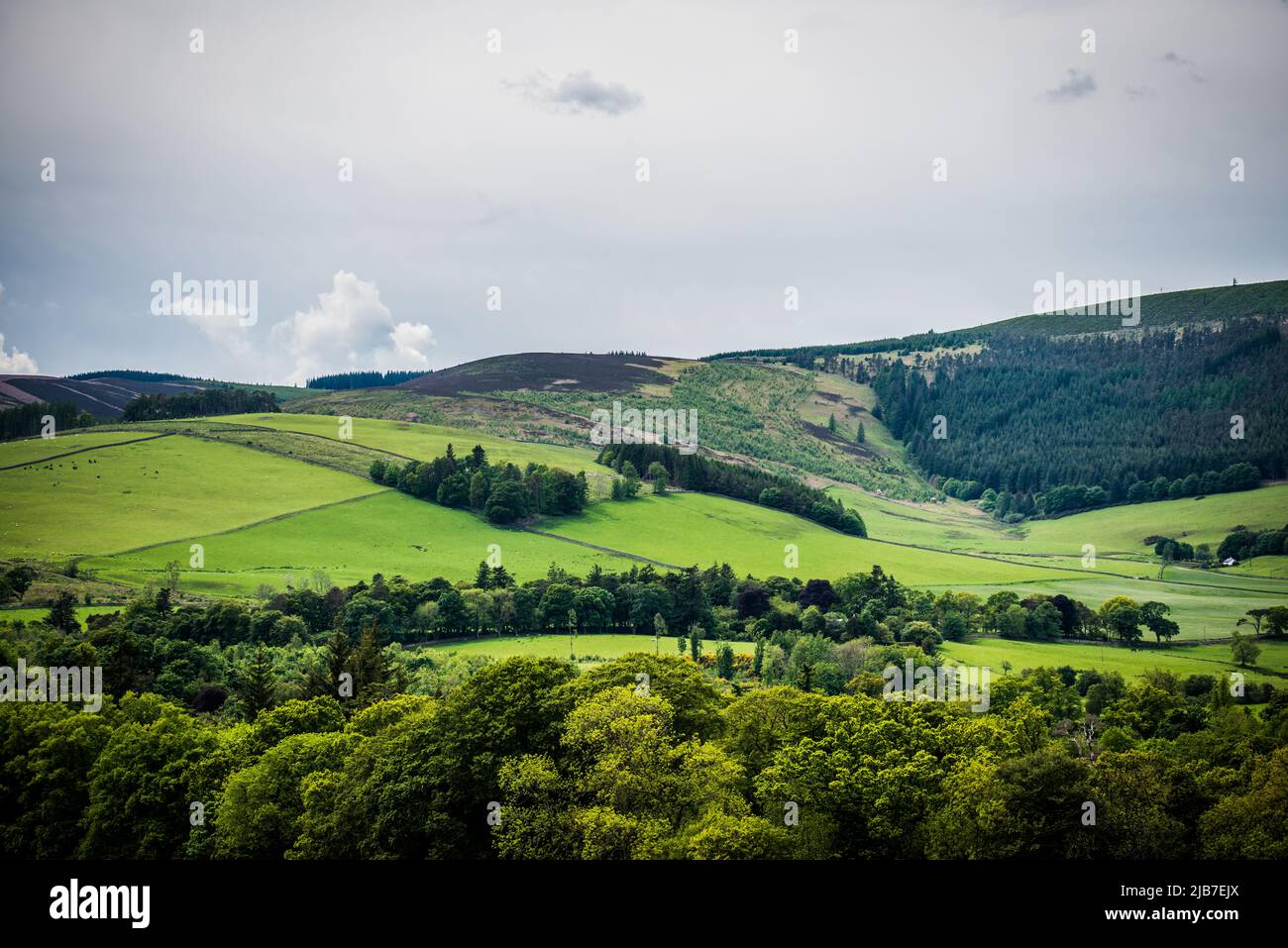 Innerleithen, Scotland, United Kingdom Stock Photo - Alamy