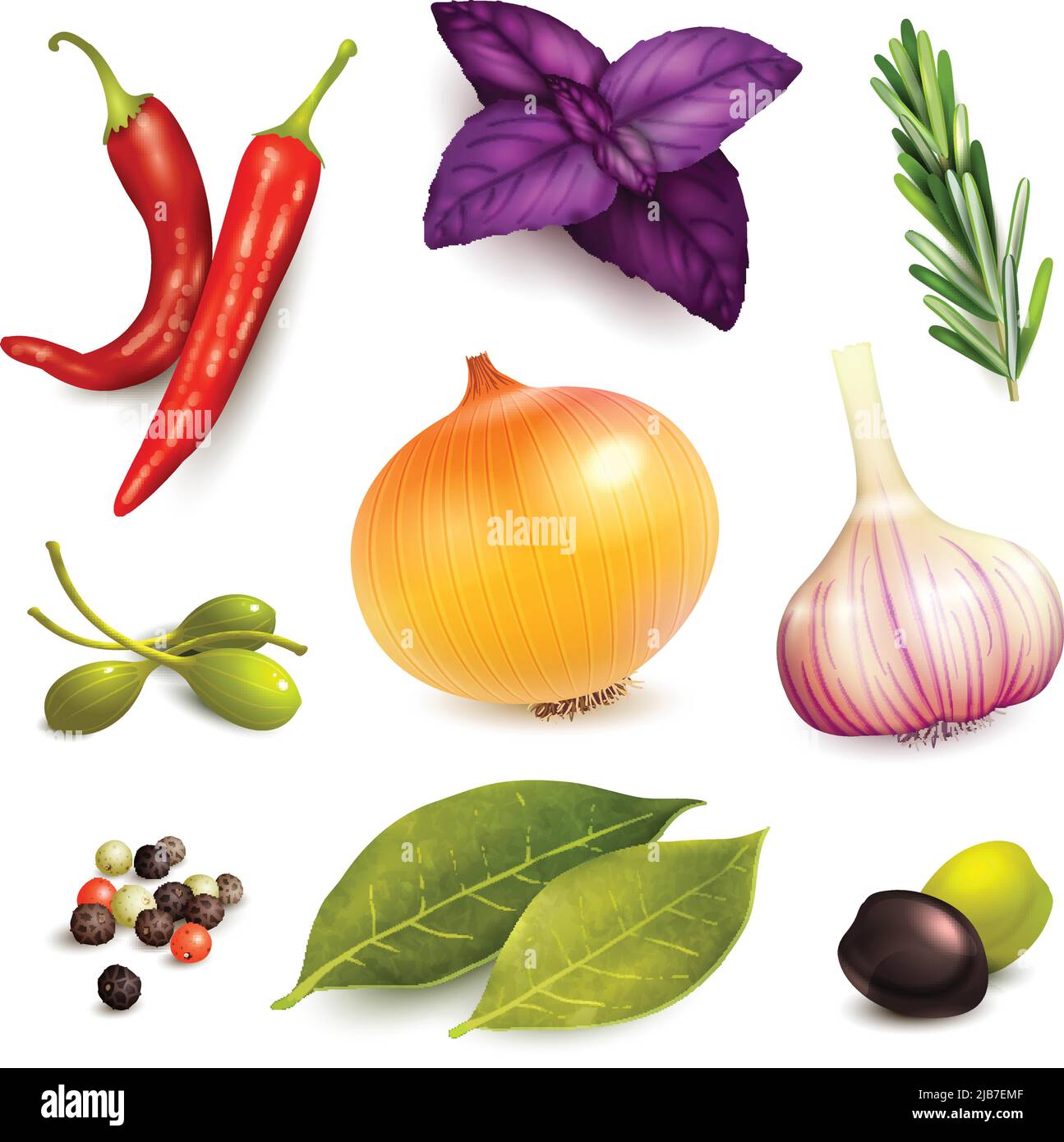 Herbs and spices decorative elements set on rosemary onion garlic ...