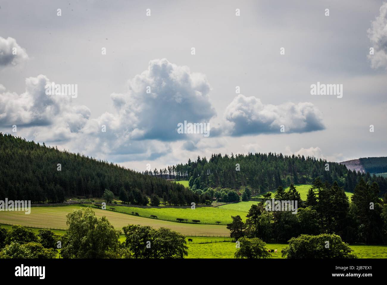 Innerleithen tweed hi-res stock photography and images - Alamy
